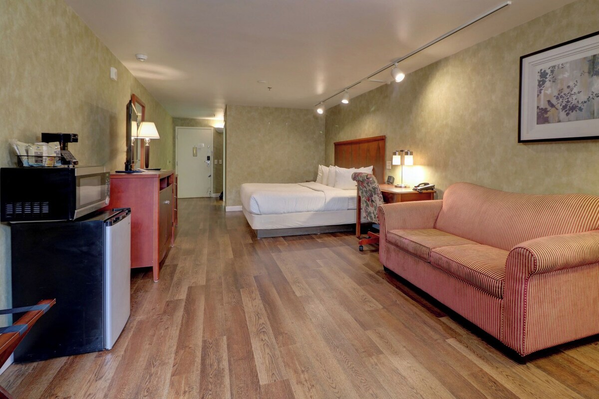 Quarto de hotel com cama, sofá, escrivaninha com luminária, micro-ondas e geladeira.