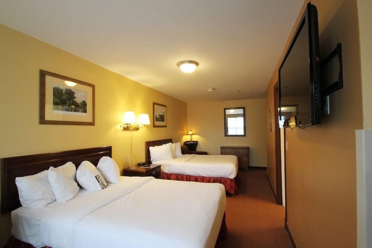 Quarto de hotel com duas camas, televisão fixada na parede e janela que proporciona luz natural.
