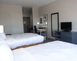 Quarto premium, 2 camas Queen, para não fumantes | Roupas de cama premium, escrivaninha, cortinas blackout