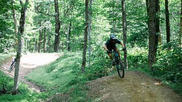 Ciclista de montanha numa trilha de terra rodeado por floresta densa.