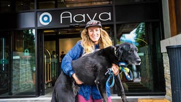 Uma pessoa segurando um cão preto grande em frente a um edifício com uma placa que diz "Ava".