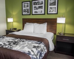 Quarto standard, 1 cama Queen, acessível, para não fumantes