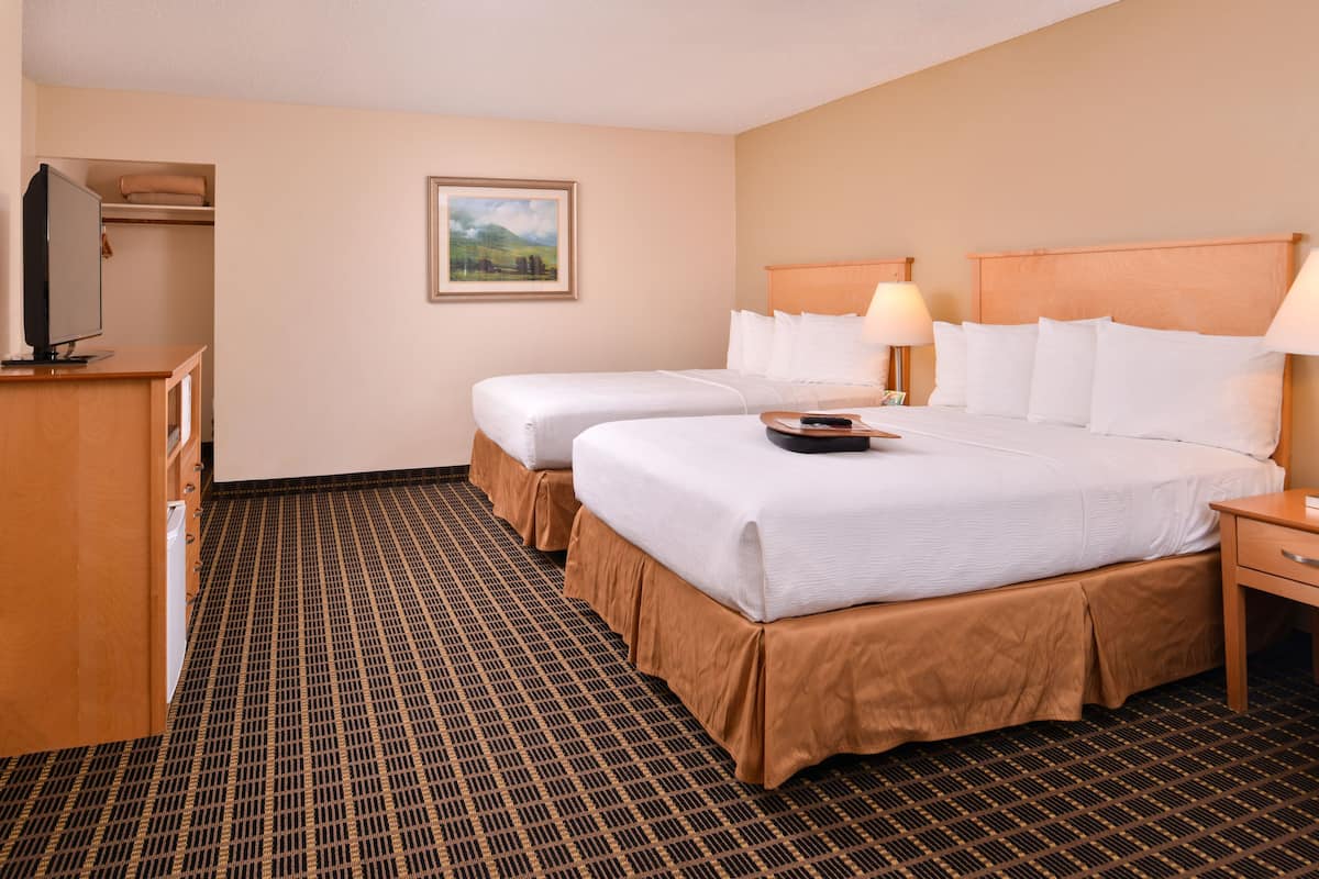 Quarto de hotel com duas camas, televisão, um quadro na parede e um tapete estampado.