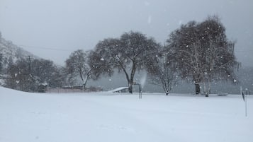 Paisagem nevada com árvores e um banco.