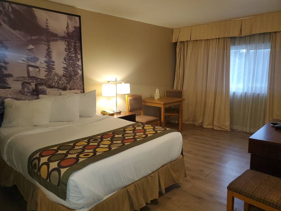 Quarto de hotel com uma cama grande, uma escrivaninha, uma cadeira, um abajur e um quadro na parede.