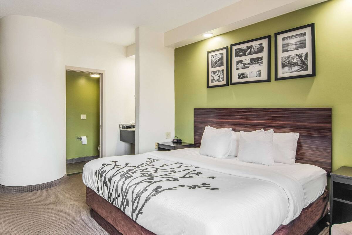 Quarto de hotel com cama grande, cabeceira de madeira, parede verde e três quadros acima da cama.
