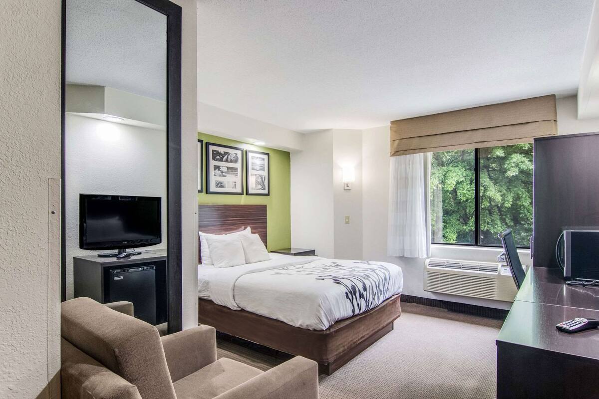 Quarto de hotel com cama, televisão, escrivaninha e janela com vista para árvores.