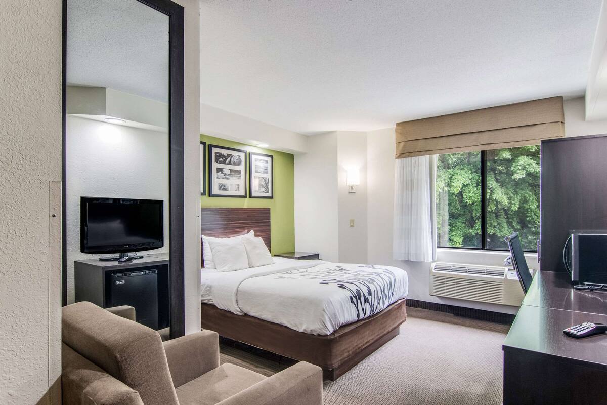 Quarto de hotel com cama, escrivaninha com computador, televisão e janela com vista para árvores.