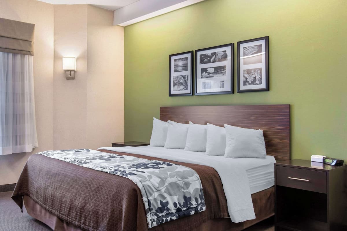 Quarto Standard, 1 cama king-size, não fumadores | Secretária, ferro/tábua de engomar, berços/camas para crianças grátis