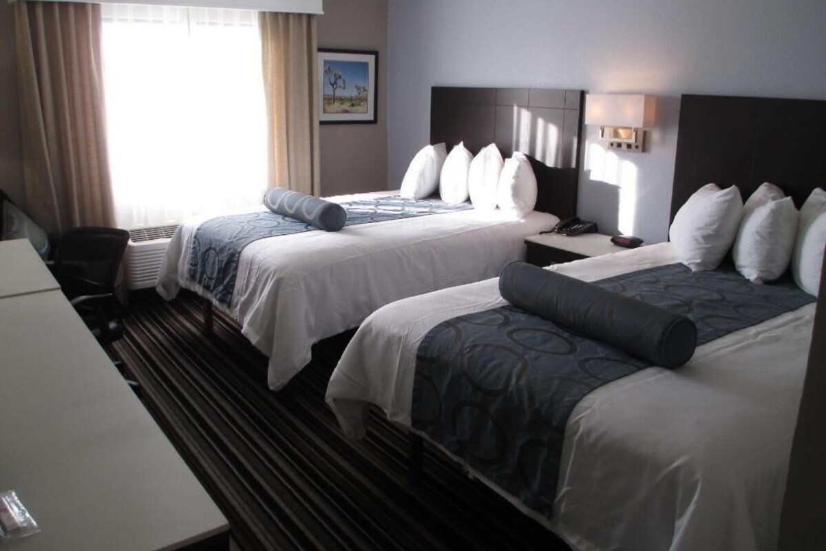 Quarto de hotel com duas camas, uma escrivaninha, uma cadeira, um abajur e uma janela com cortinas.