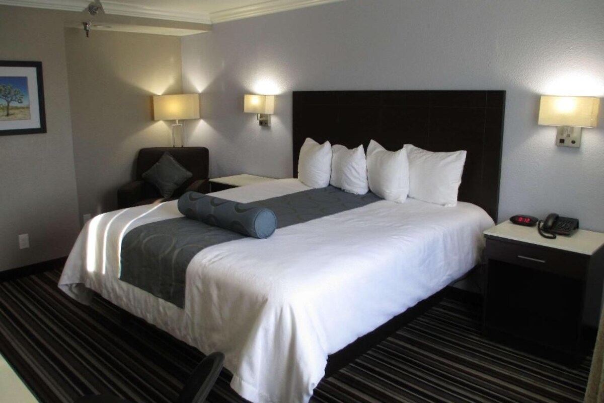Quarto de hotel com uma cama grande, duas luminárias de cabeceira, uma mesa de cabeceira com telefone e um quadro na parede.