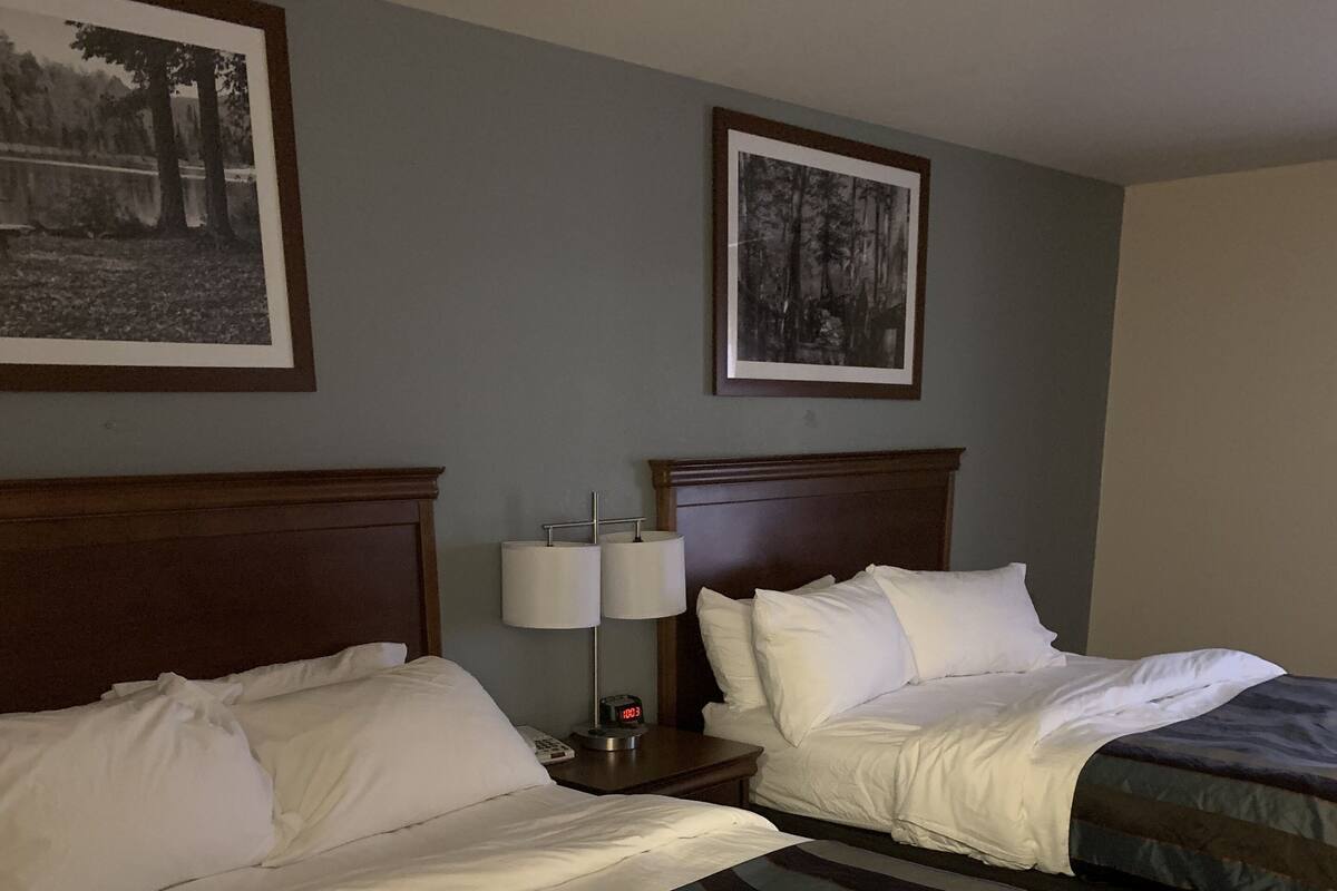 Quarto de hotel com duas camas, mesa de cabeceira com luminárias e quadros nas paredes.