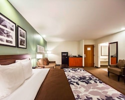 Suite, 1 cama king-size, não fumadores | Ferro/tábua de engomar, berços/camas para crianças grátis