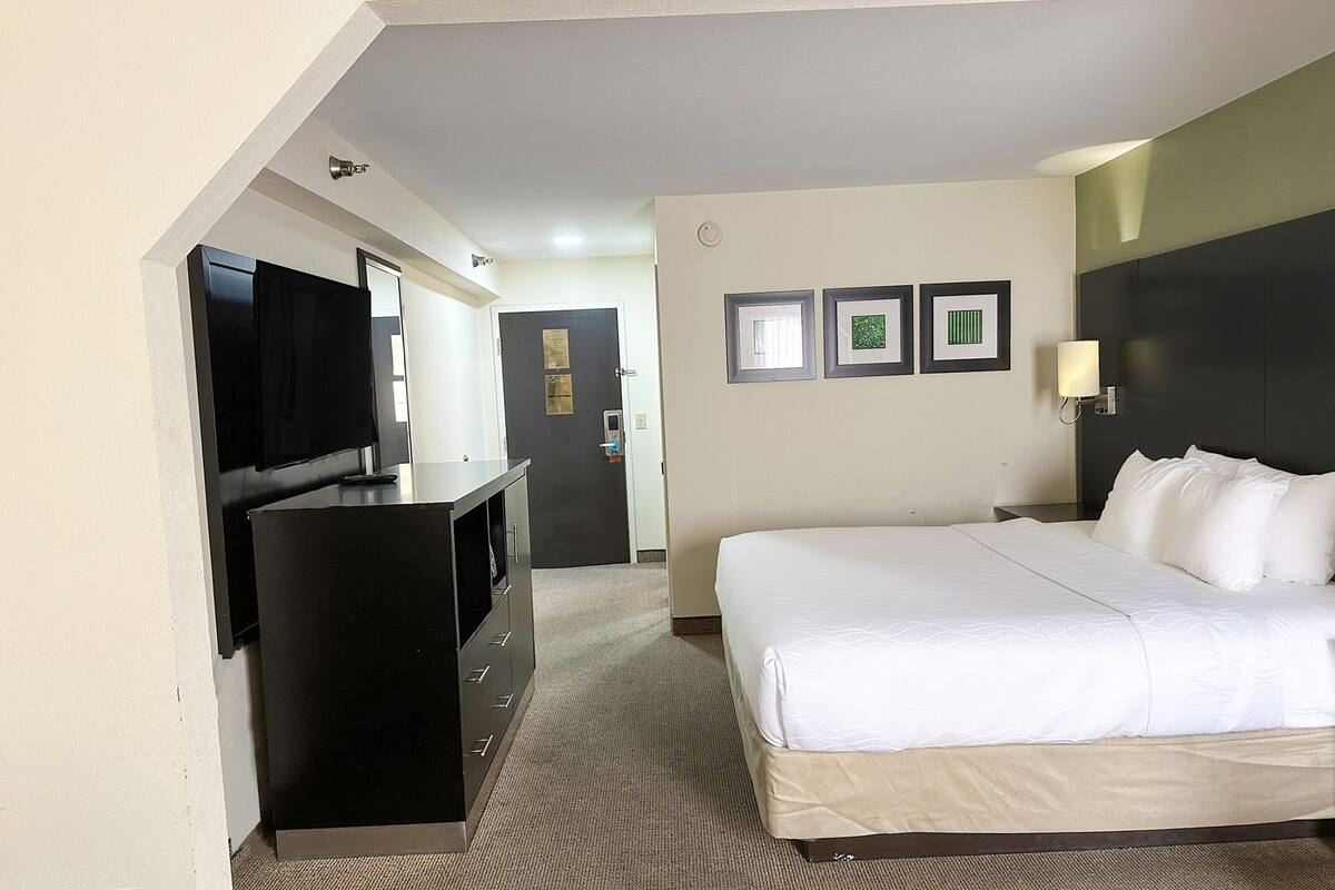 Quarto de hotel com uma cama, uma escrivaninha, uma televisão e uma porta.