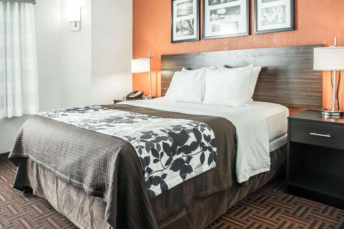Quarto de hotel com cama, mesa de cabeceira, abajur e quadros na parede.