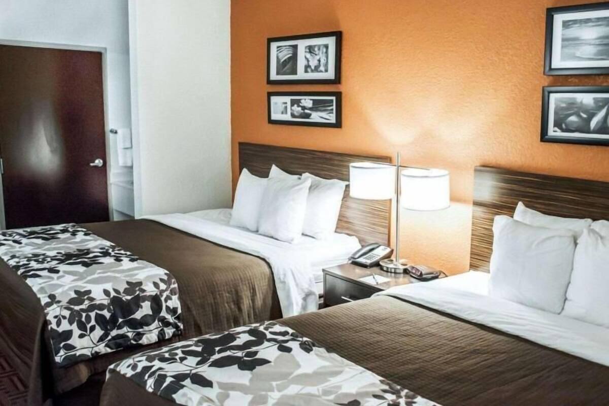 Quarto de hotel com duas camas, cabeceira de madeira, mesa de cabeceira com abajur e quadros nas paredes.