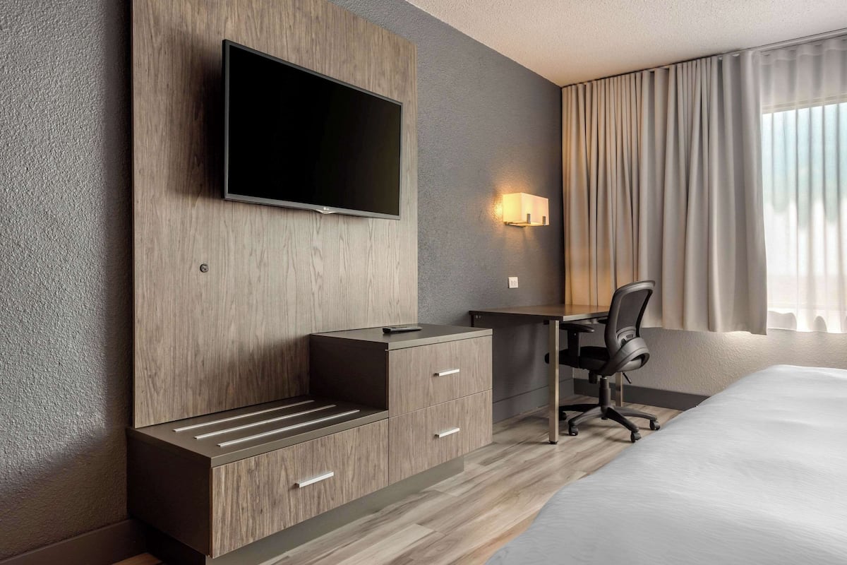Quarto Deluxe, 1 cama king-size, não fumadores | Roupa de alta qualidade, secretária, quartos insonorizados