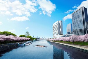 Um rio com um barco, cercado por cerejeiras em flor e edifícios modernos.