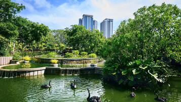 Um parque tranquilo com lago, cisnes e vegetação exuberante.