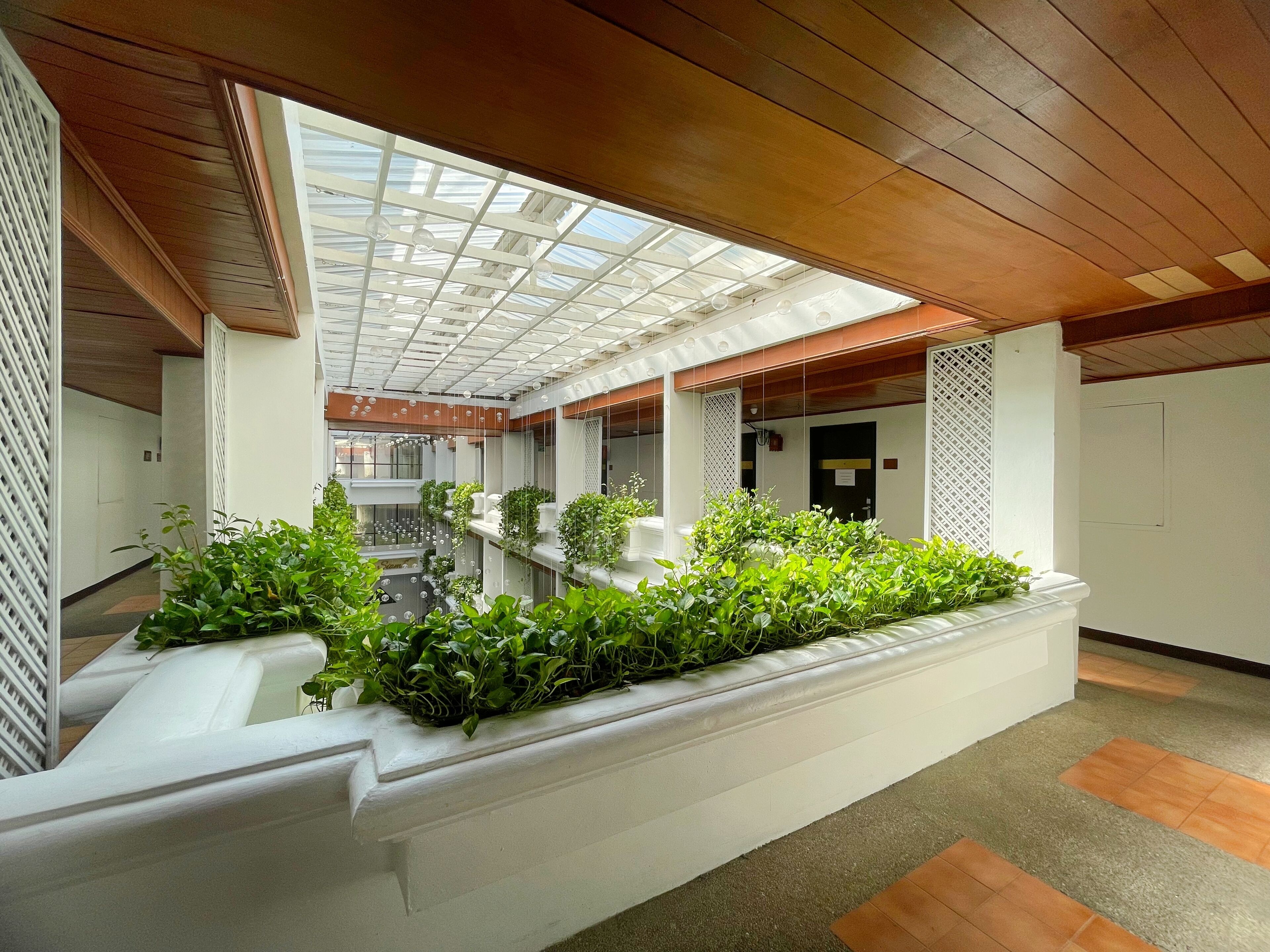 Um interior moderno com teto de vidro, paredes brancas e plantas verdes.