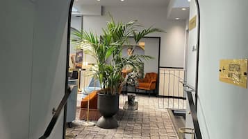 Pequenos-almoços, almoços, jantares servidos, cozinha francesa