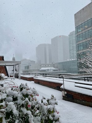 Cena urbana coberta de neve, com edifícios modernos, uma área externa coberta e plantas com neve.