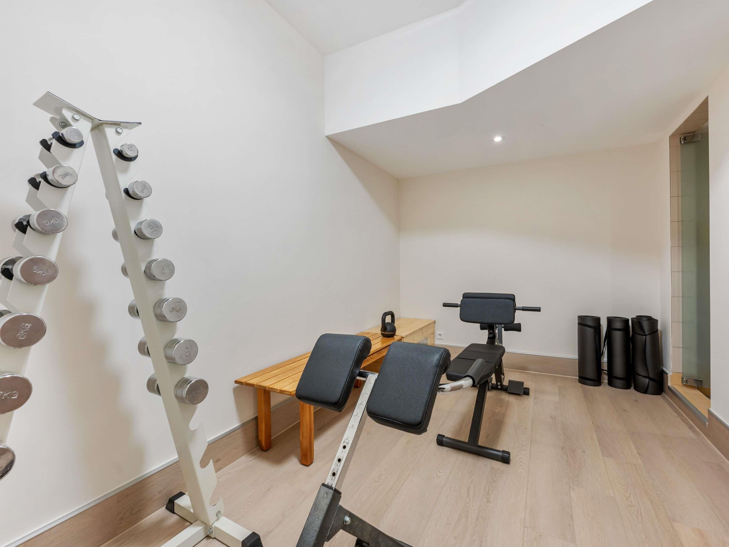 Uma academia moderna com um banco de musculação, halteres e uma barra para puxar.