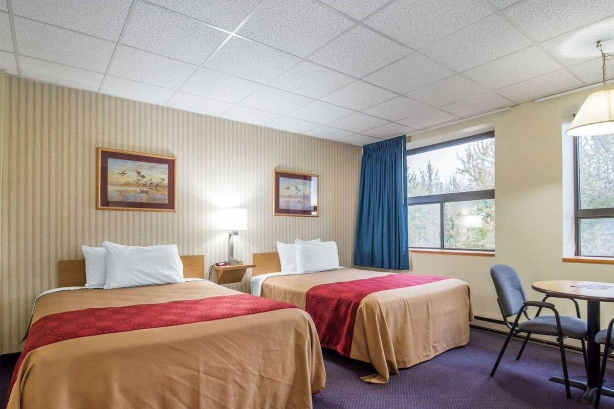 Quarto de hotel com duas camas, uma escrivaninha, uma cadeira, uma luminária e janela com vista para árvores.