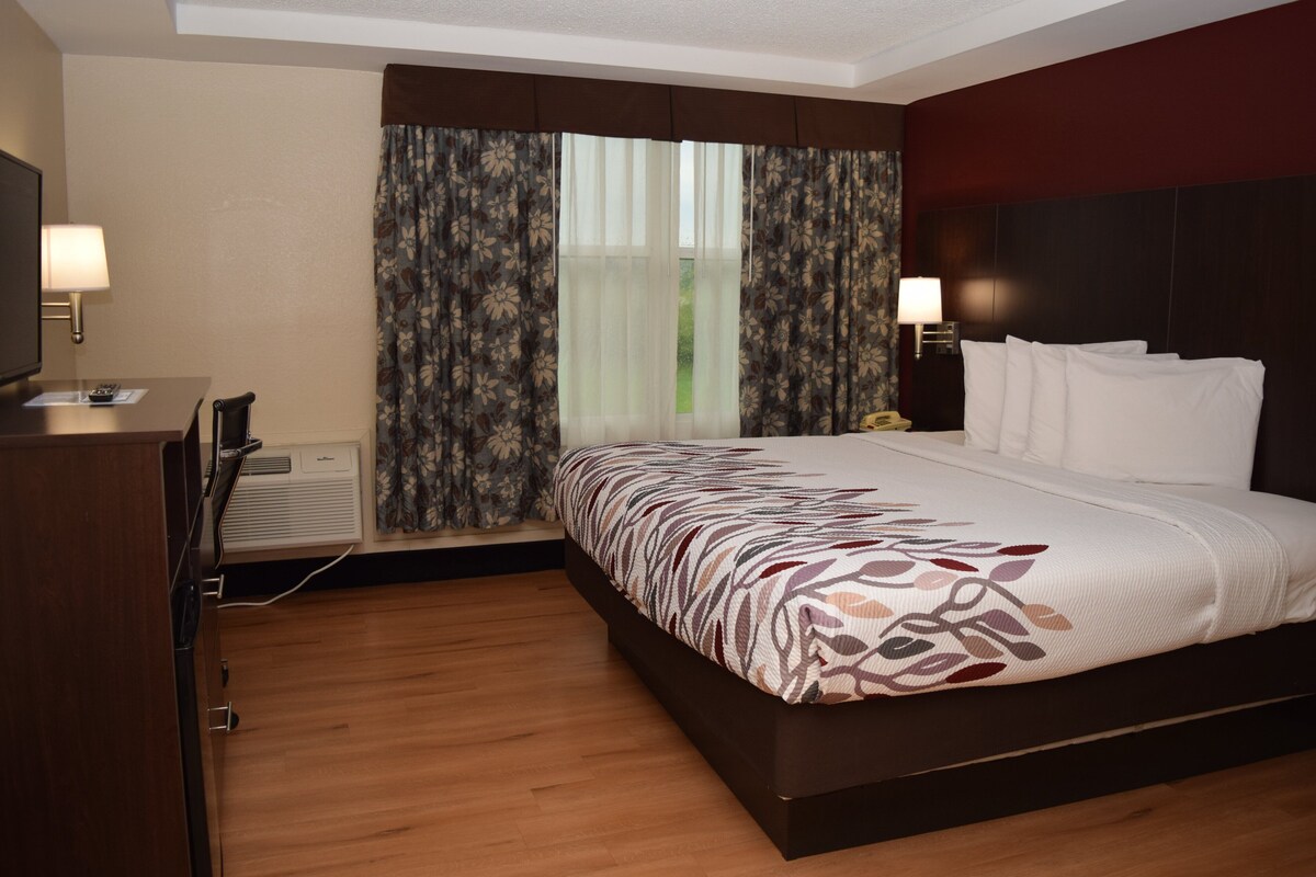 Quarto de hotel com uma cama grande, uma escrivaninha com luminária, uma televisão e uma janela com cortinas.