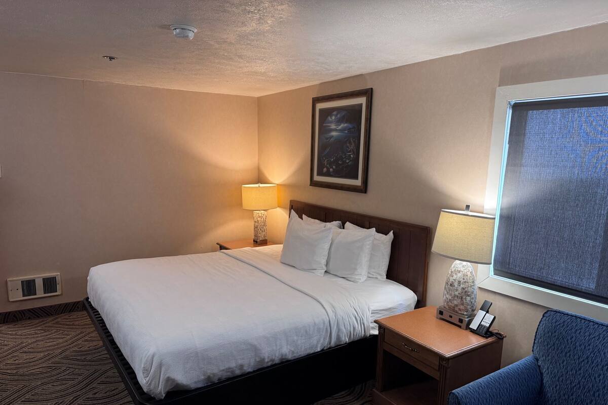 Quarto de hotel com uma cama grande, mesa de cabeceira com abajur, uma cadeira, janela com vista e um quadro na parede.