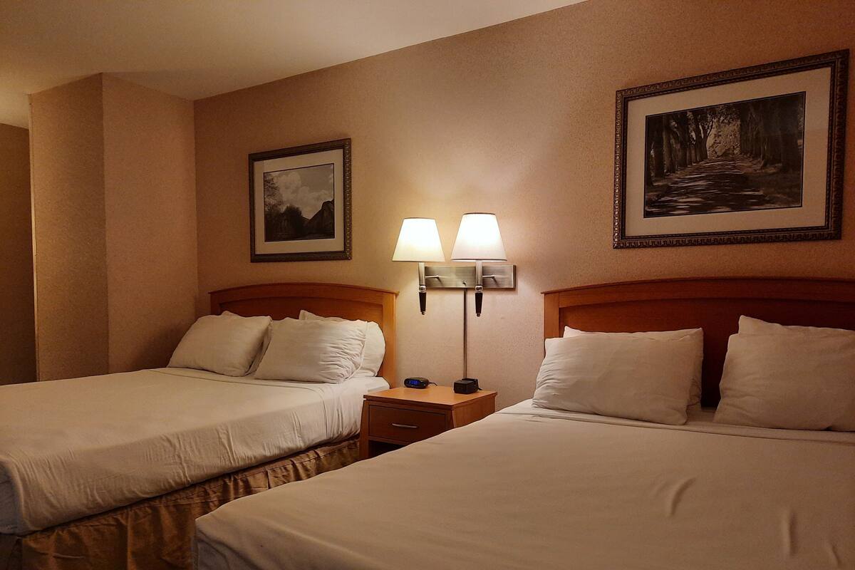 Quarto de hotel com duas camas, uma mesa de cabeceira, uma luminária na parede e quadros enquadrados nas paredes.