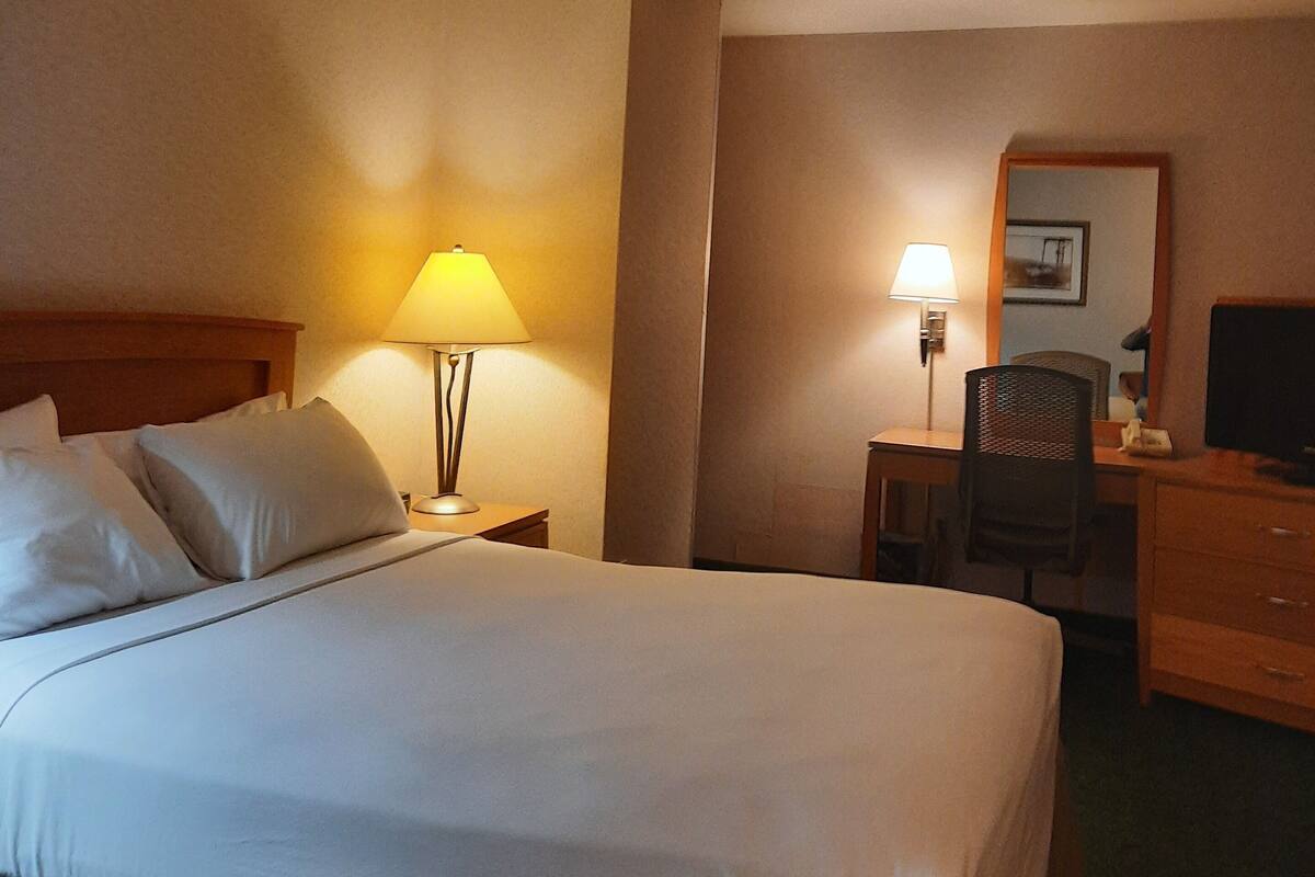 Quarto de hotel com uma cama grande, uma escrivaninha com cadeira, uma luminária e uma televisão.