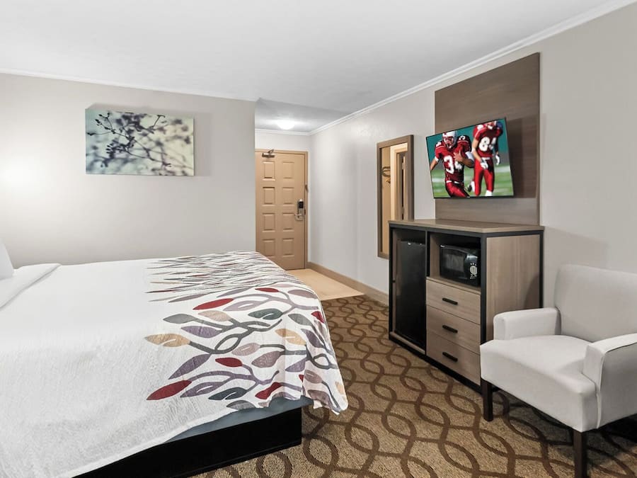Quarto de hotel com cama, televisão, escrivaninha e cadeira.