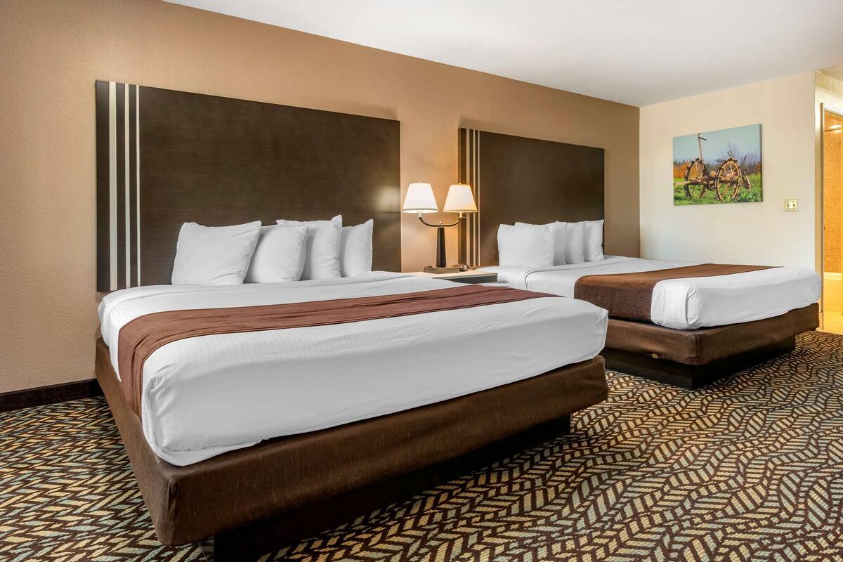 Quarto de hotel com duas camas, um carpete estampado e um quadro na parede.