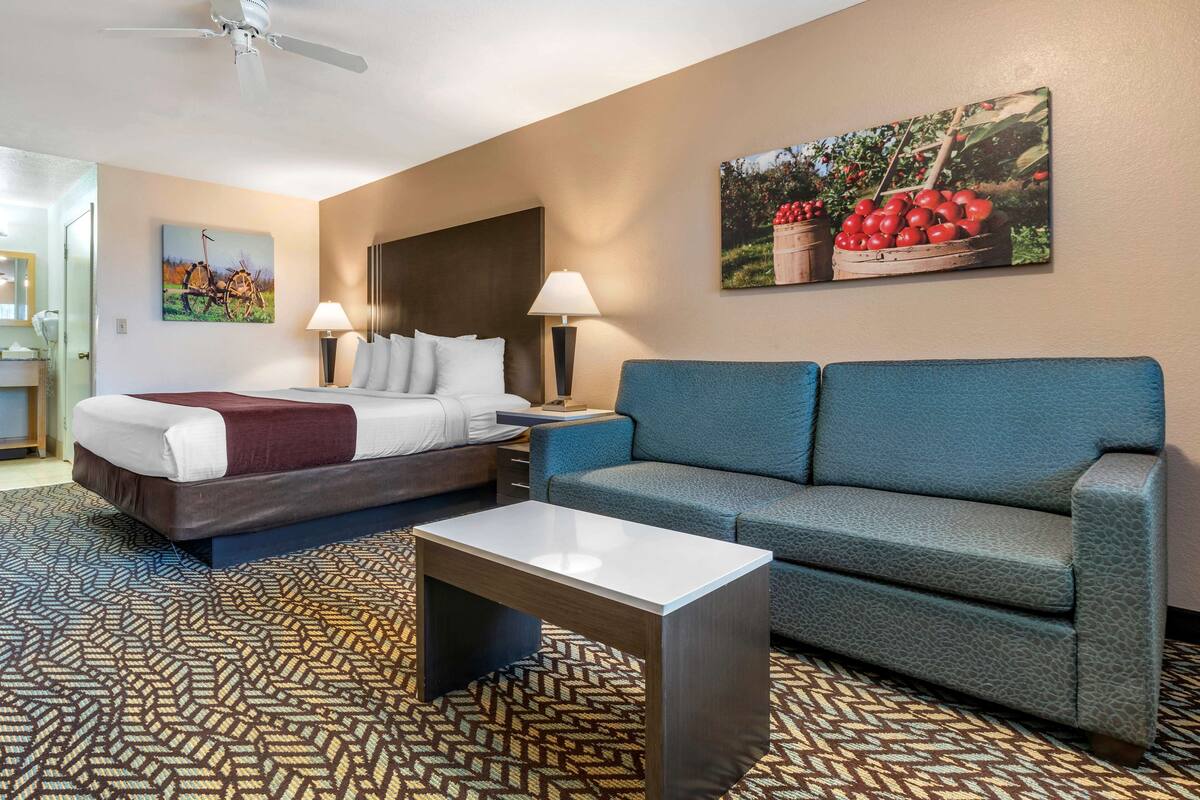Quarto de hotel com cama, sofá azul, mesa de centro, duas luminárias de apoio e duas pinturas na parede.