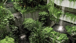 Um jardim interno exuberante com várias fontes de água e folhagem densa.
