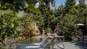Área de piscina ao ar livre tranquila, com um espelho d'água, cercada por vegetação exuberante e assentos modernos.