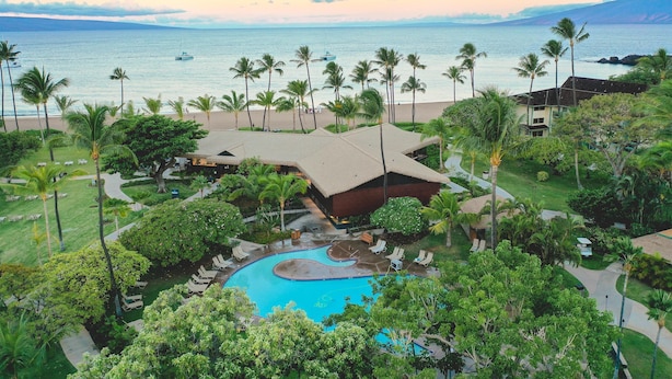 Um resort com piscina, palmeiras e vista para o oceano.