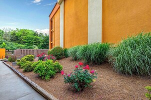 Comodidade do alojamento