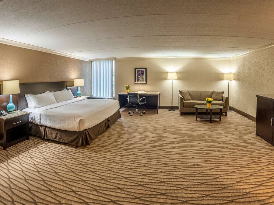 Quarto de hotel com cama, escrivaninha, cadeira, televisão e carpete estampado.