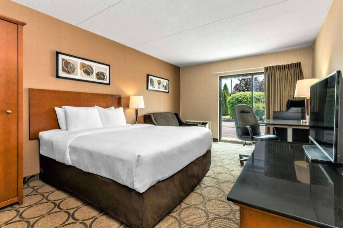 Quarto de hotel com cama, escrivaninha, televisão e vista para o verde lá fora.