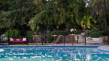 Uma piscina com nenúfares e um sofá vermelho ao fundo.