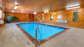 Piscina coberta com painéis de madeira, escada, planta em vaso e cadeira do salva-vidas.