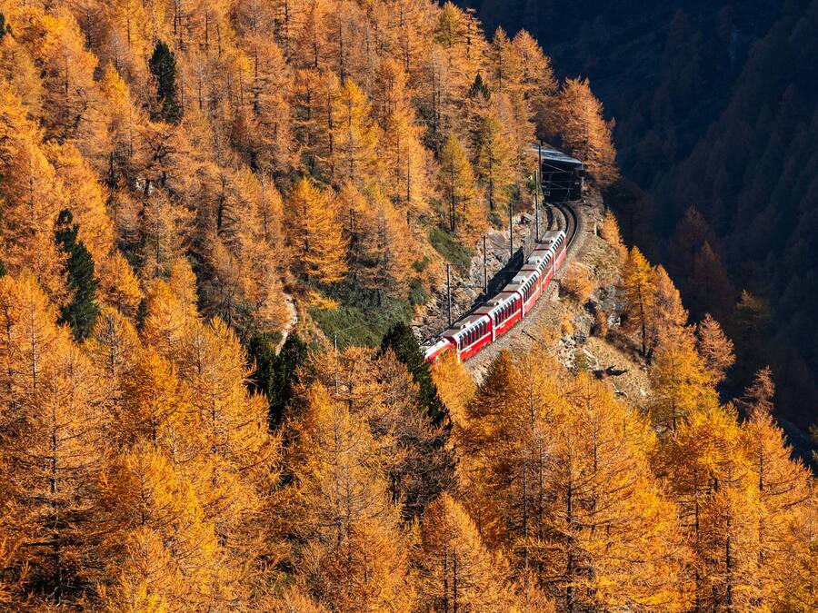 Um trem vermelho em uma linha de montanha, cercado por árvores de folhas outonais.