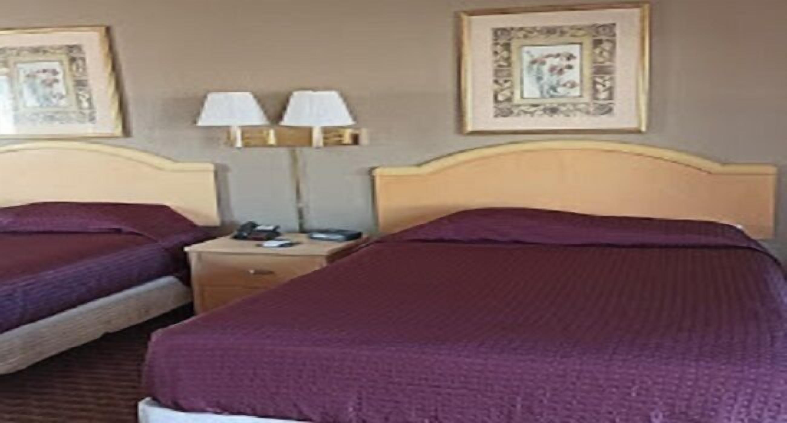 Quarto de hotel com duas camas, cada uma com colcha roxa, mesa de cabeceira com abajur e quadros na parede.
