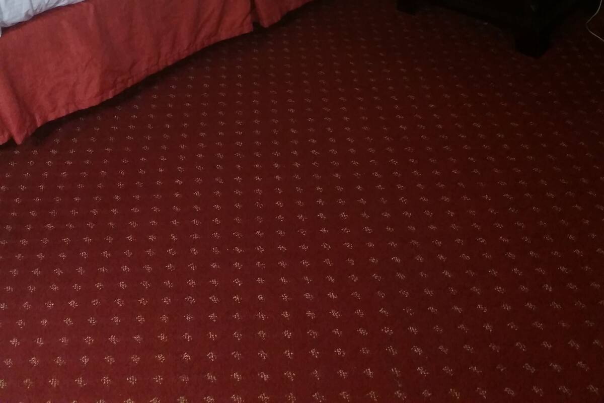 Quarto, 1 cama queen-size, não fumadores | Secretária, cortinas/cortinados opacos