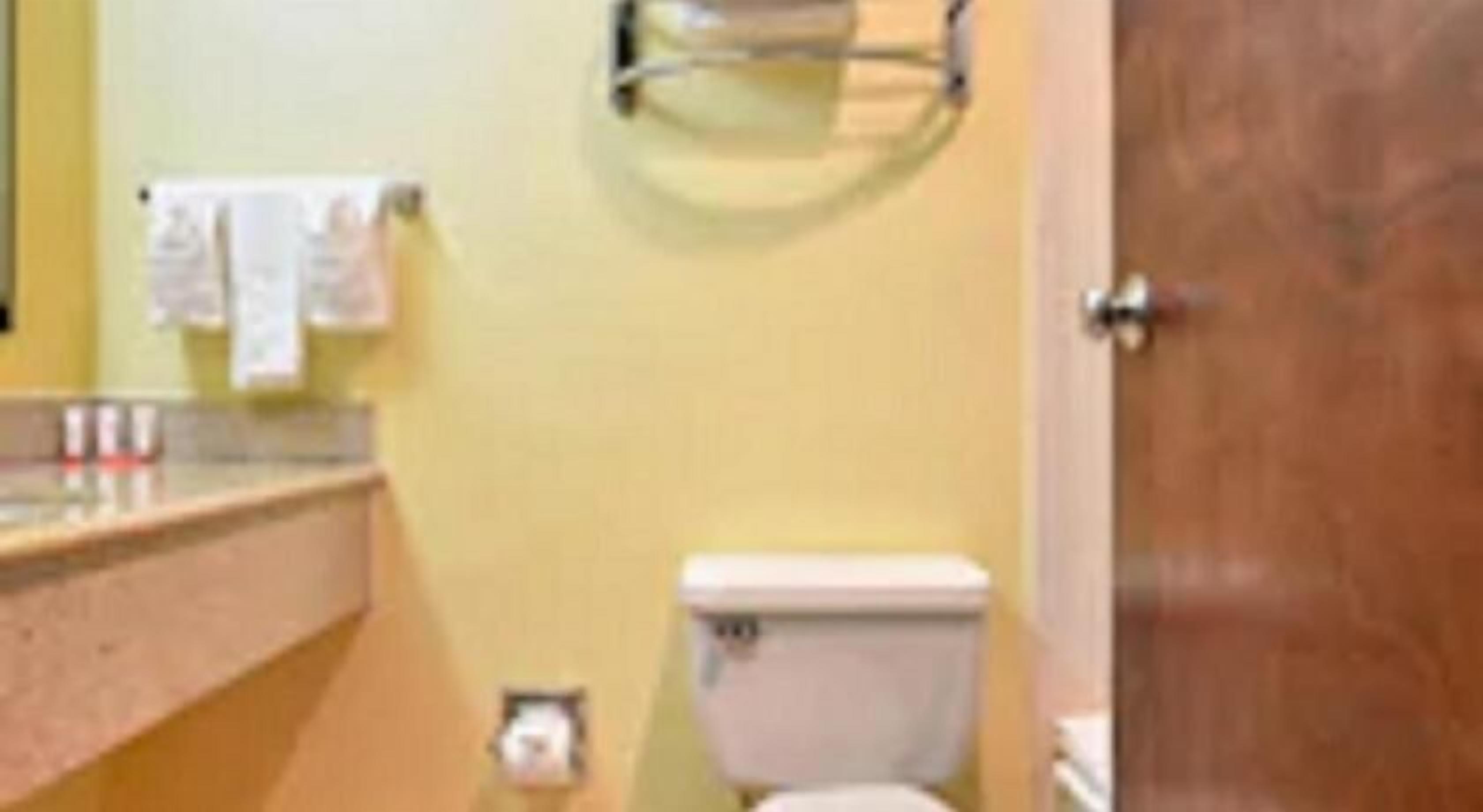 Banheiro | Produtos de toalete grátis, secador de cabelo, toalhas de banho 