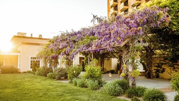Um edifício com galeria coberta e um jardim com diversas plantas e uma pérgula com flores roxas.