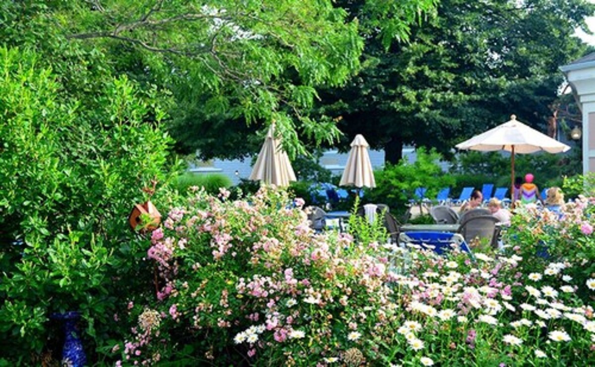 Cape Codder Resort and Spa Reviews, Deals & Photos 2024 - Expedia