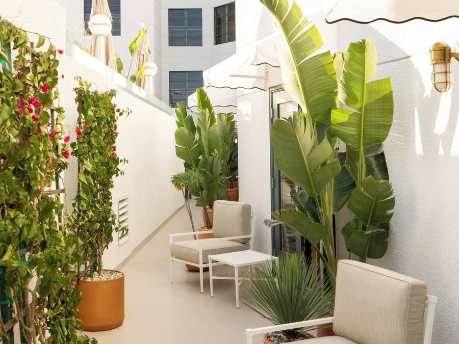 Uma área de estar moderna ao ar livre, com mobiliário branco, grandes vasos de plantas e um edifício branco ao fundo.